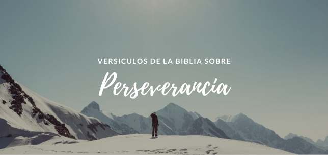 23 Versículos de la Biblia de Perseverancia y Esfuerzo - Textos Bíblicos