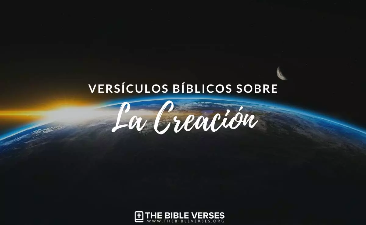 30 Versículos sobre La Creación de Dios | Textos Bíblicos