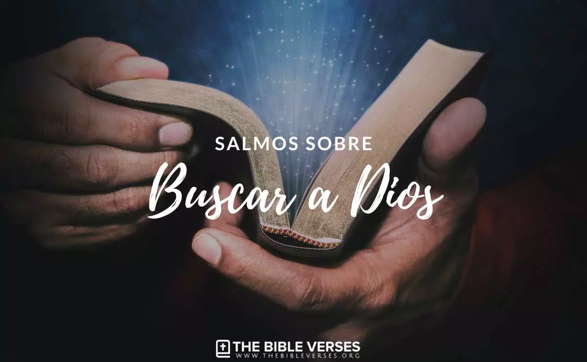 25 Salmos sobre Buscar a Dios | Búsqueda Divina