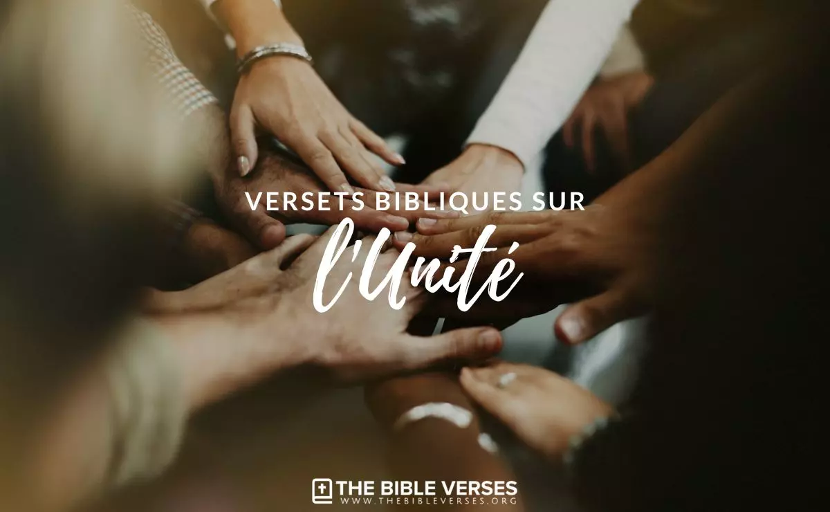 ᐅ 20 Versets Bibliques sur l'Unité - Textes de la Bible