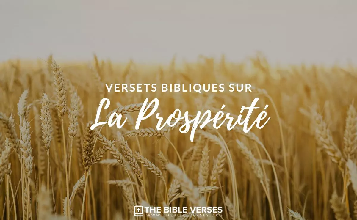 25 Versets Bibliques sur la Prospérité - Textes de la Bible